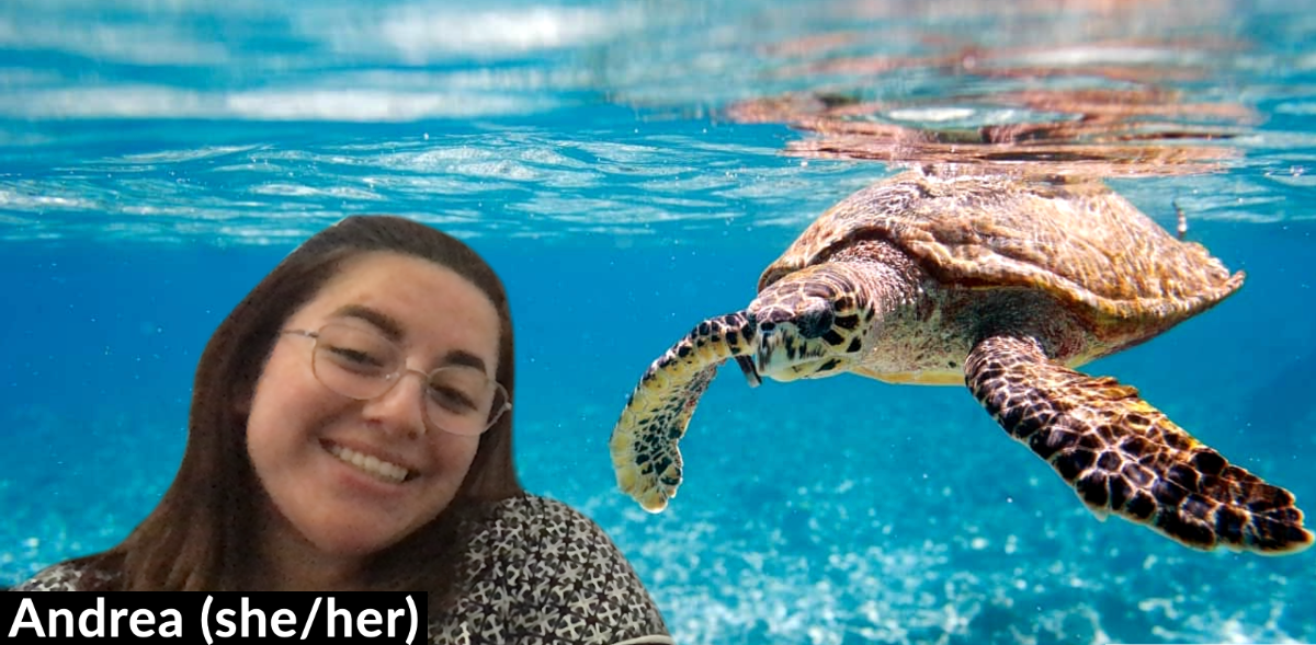 SLE - Meet the Staff | myUSF